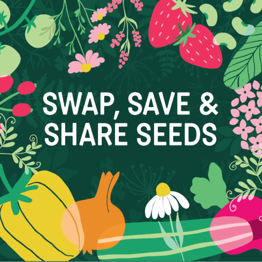Moffat Seed Library | Seed Swap | Launch Event | Free Seeds